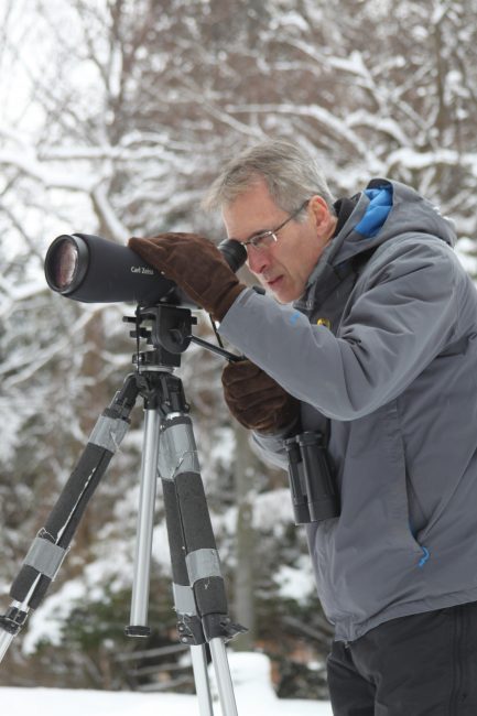 BRIAN ALLEN: The numbers in birding, what we count and why