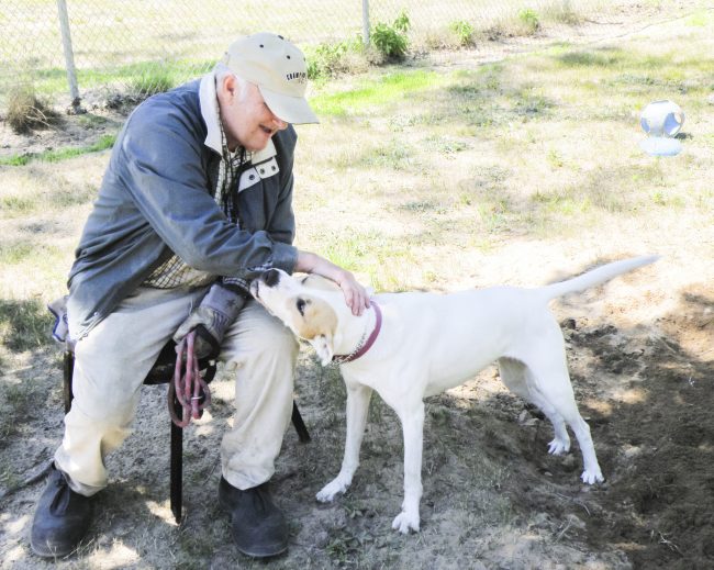 Homeward bound: Manistee animal shelter lives up to its name in ...