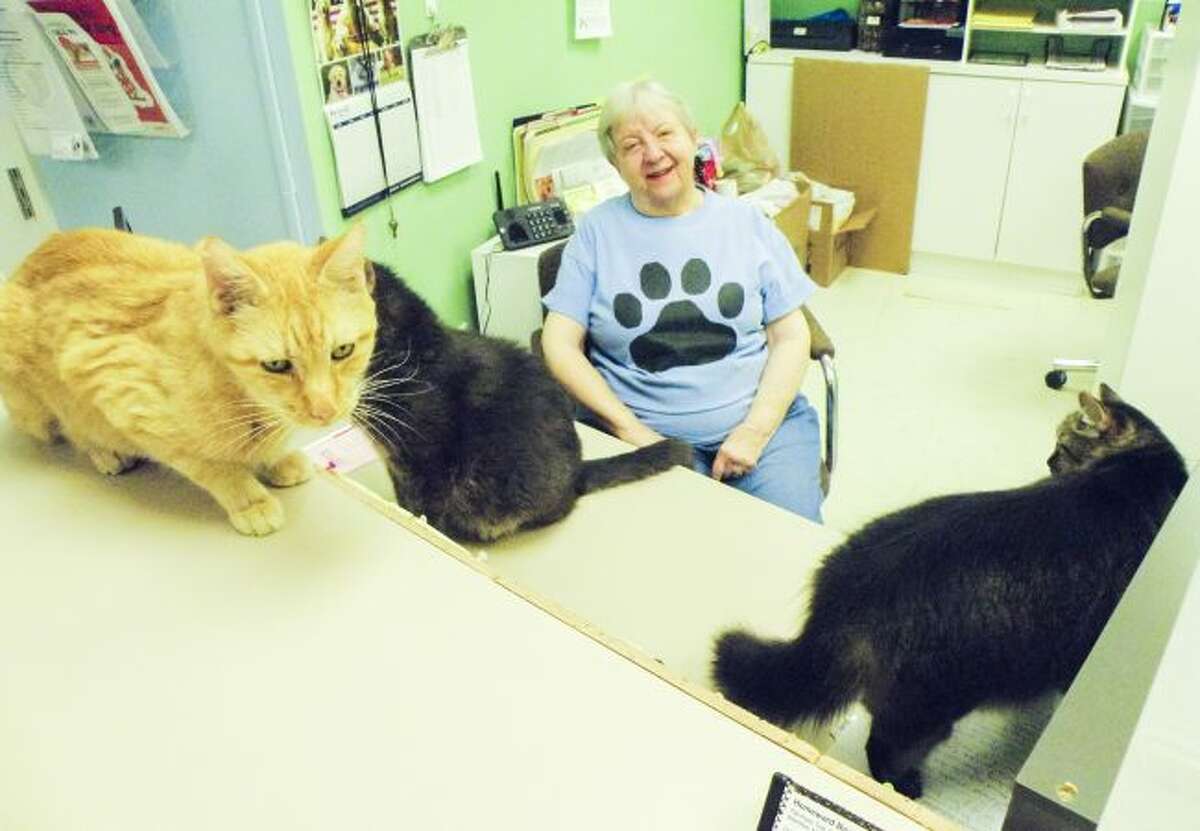 Homeward bound: Manistee animal shelter lives up to its name in ...