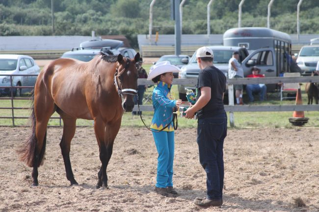 Winners announced for Open Horse Show at county fair
