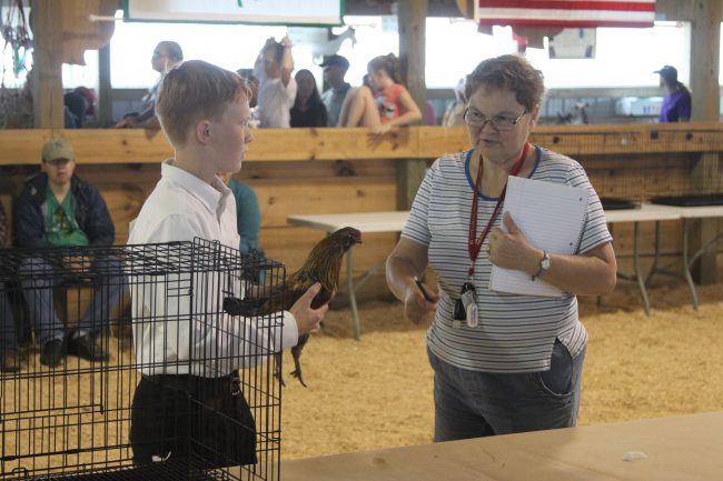Manistee County Fair offers something for everyone