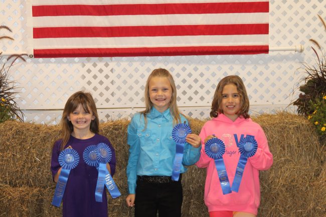 Manistee County Fair 4-H winners