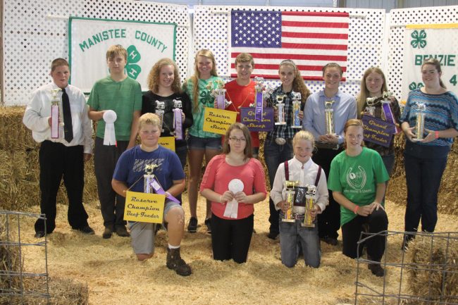 MANISTEE COUNTY FAIR 4-H WINNERS