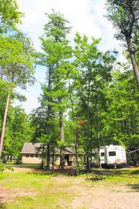 Interlochen State Park celebrates 100 years of tall trees, family fun