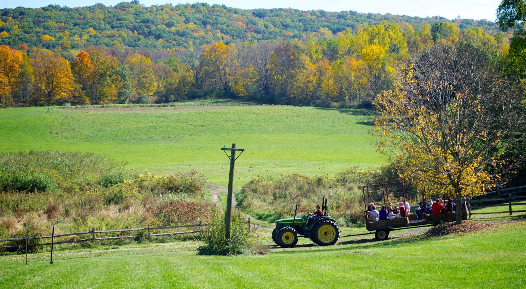Warm, dry September forecast; could delay fall foliage
