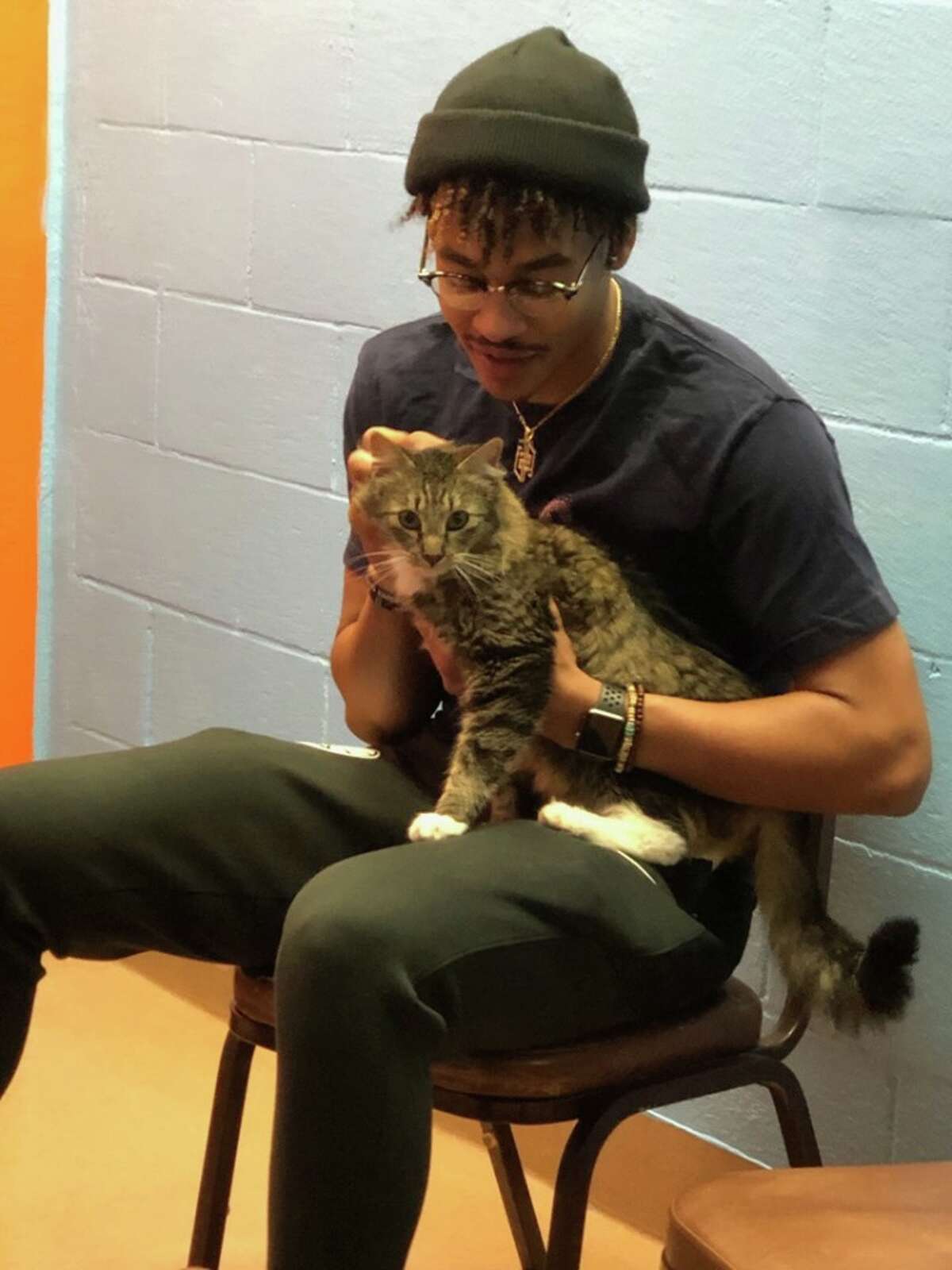 Warriors rookie Jordan Poole adopts brother cats from San Francisco shelter