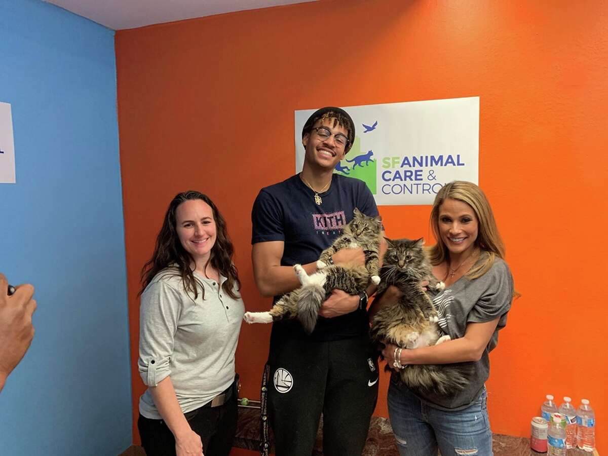 Warriors rookie Jordan Poole adopts brother cats from San Francisco shelter