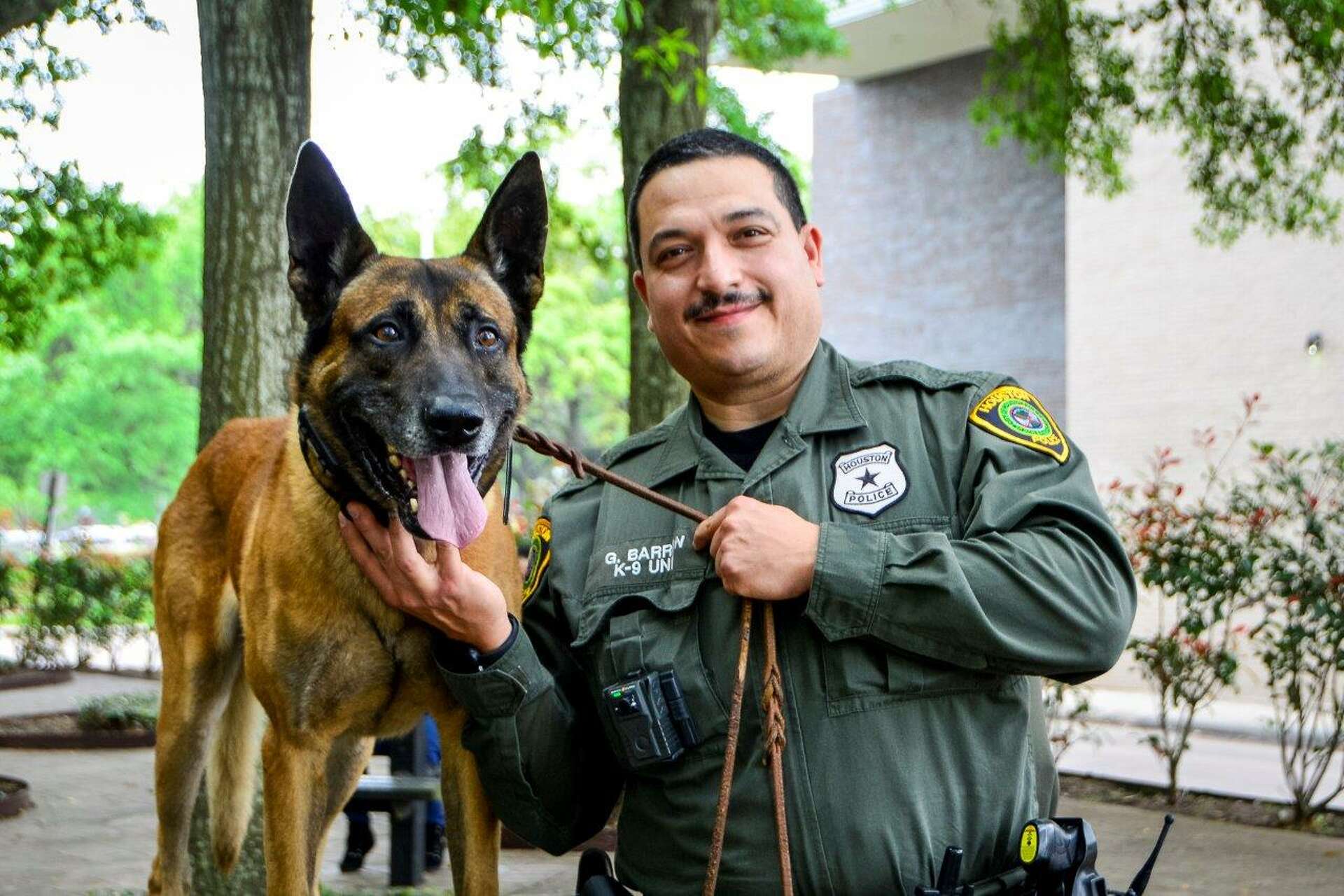 Meet the K9s of the Houston Police Department