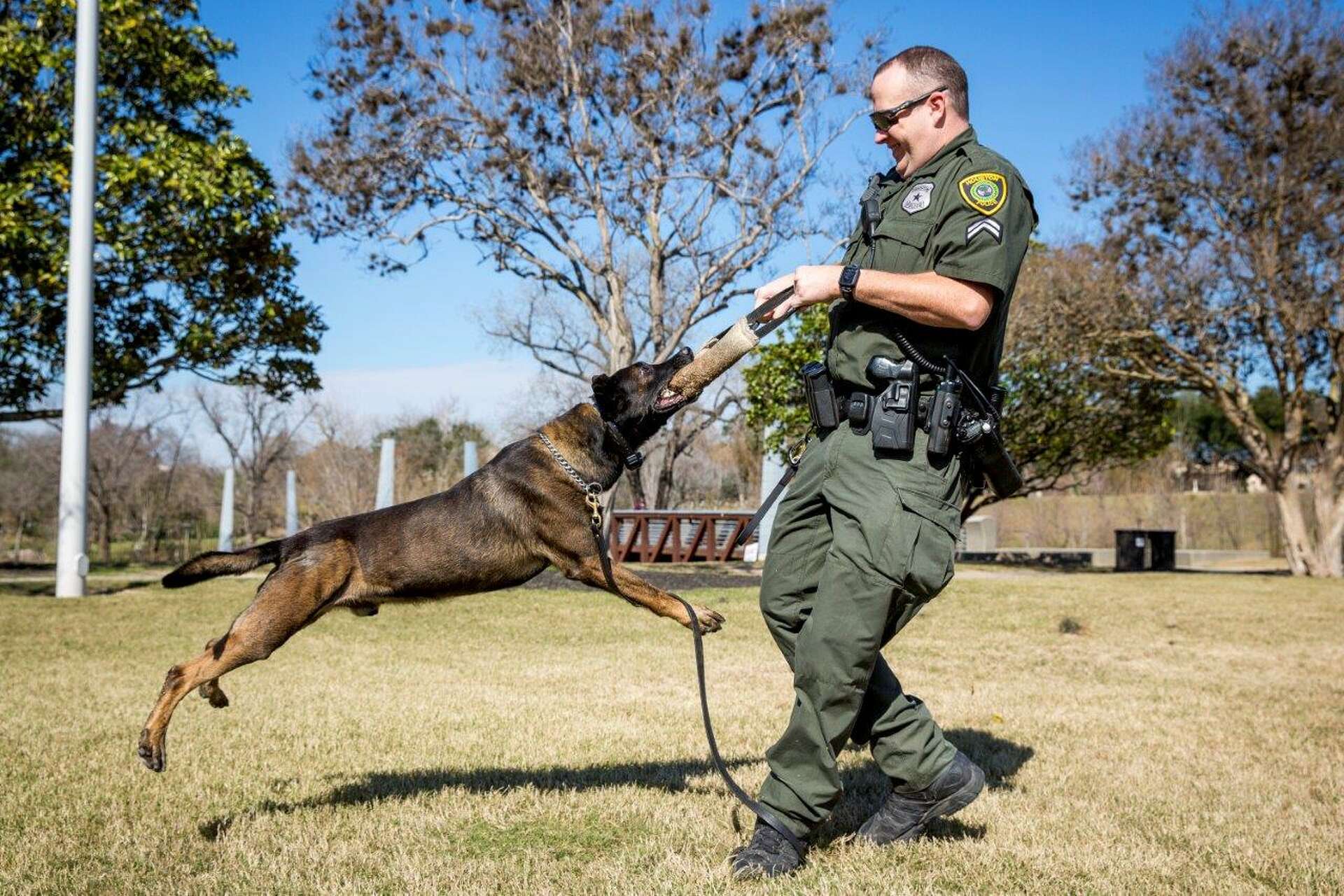Meet the K9s of the Houston Police Department