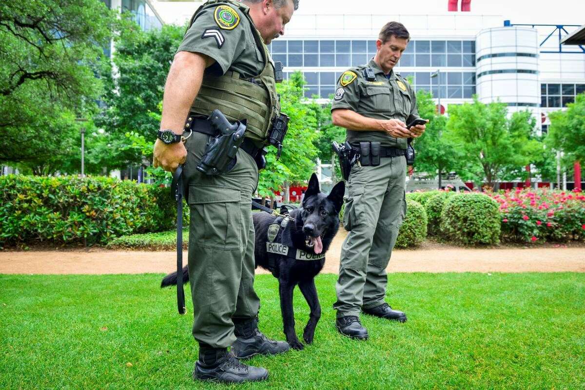 Meet the K9s of the Houston Police Department