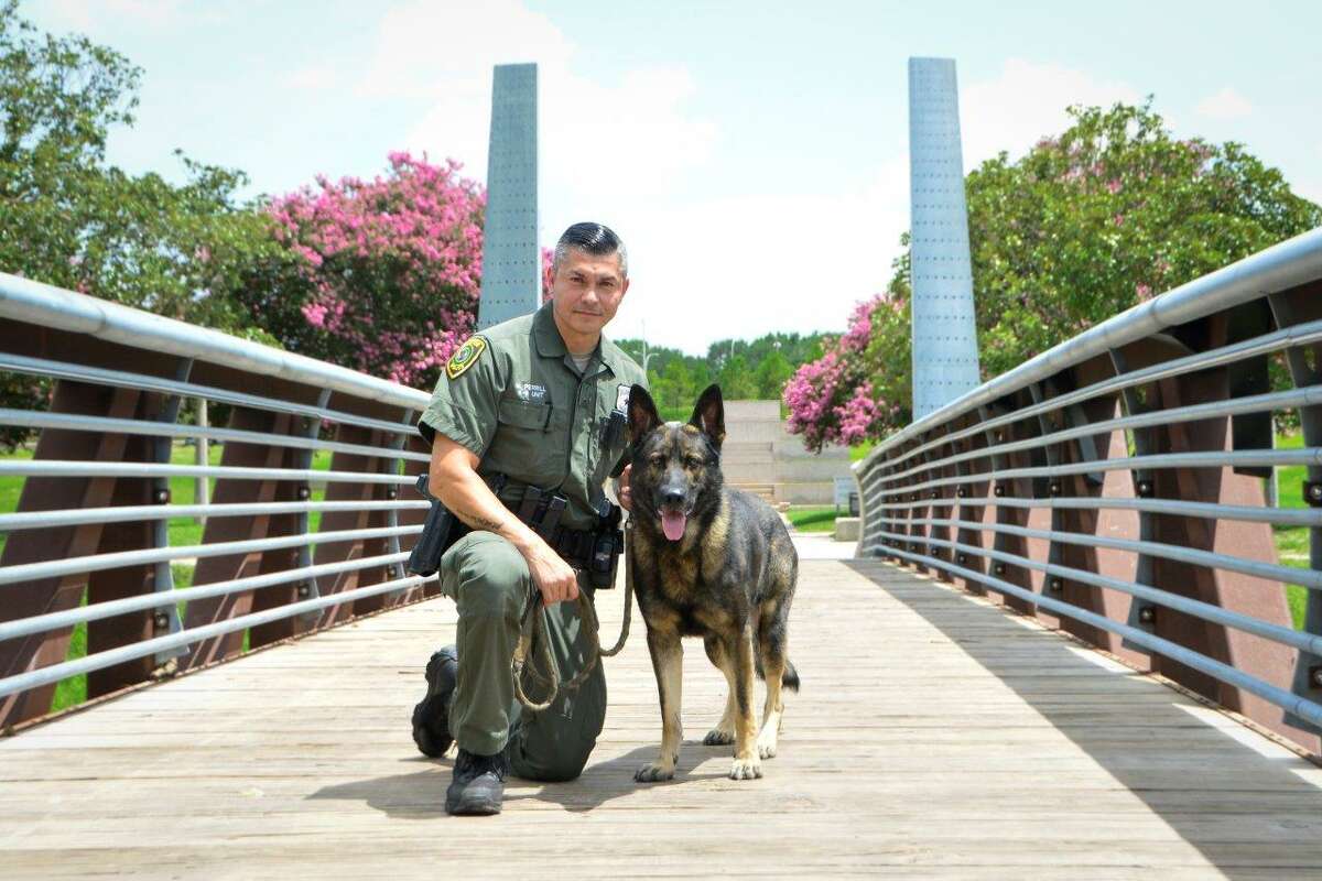Meet the K9s of the Houston Police Department