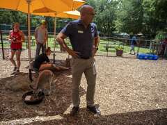 Zoo of Tim Morrow: How a former amusement park executive is flipping an ...