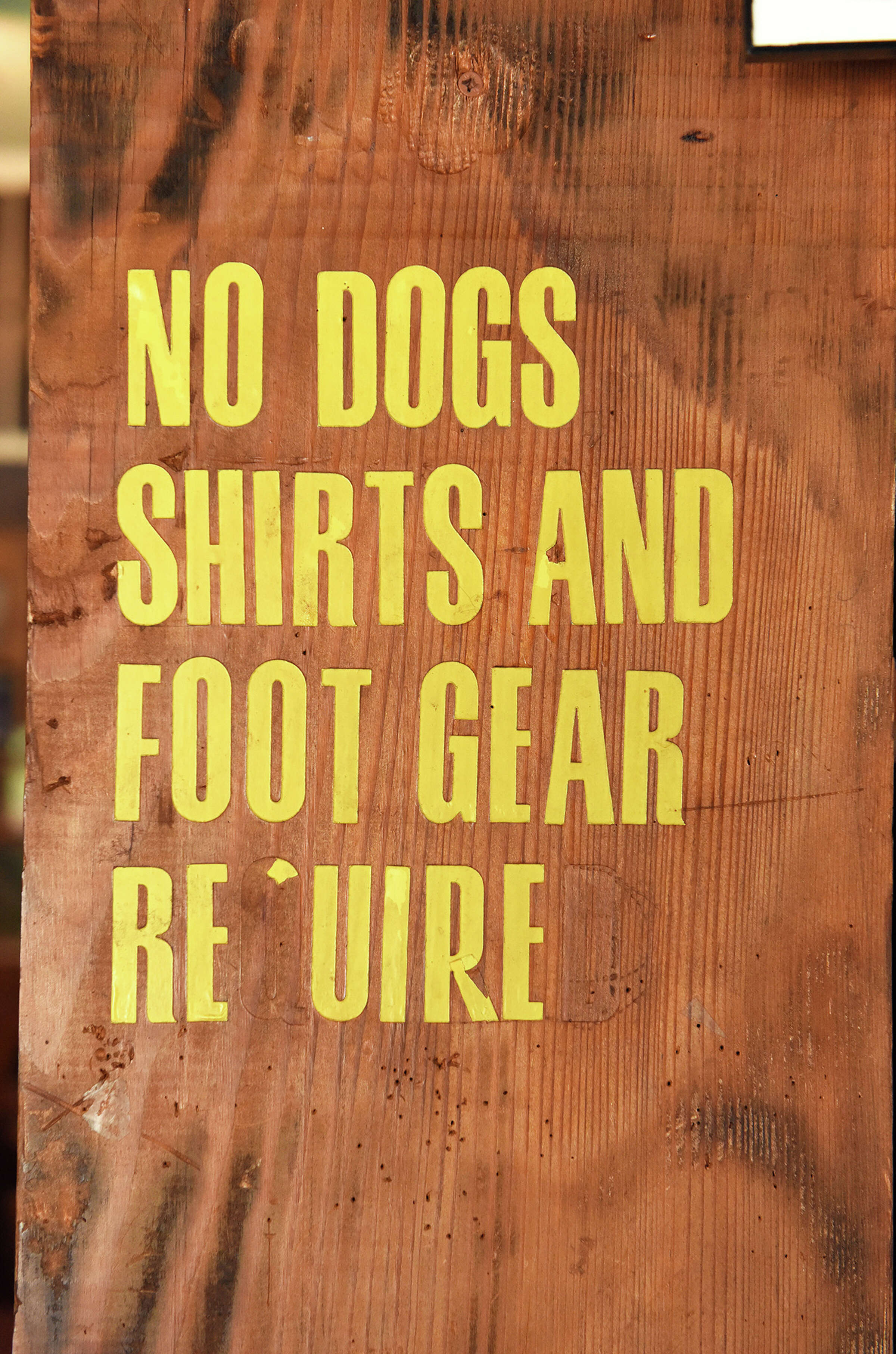 This is the story behind the most legendary 49ers bar in America