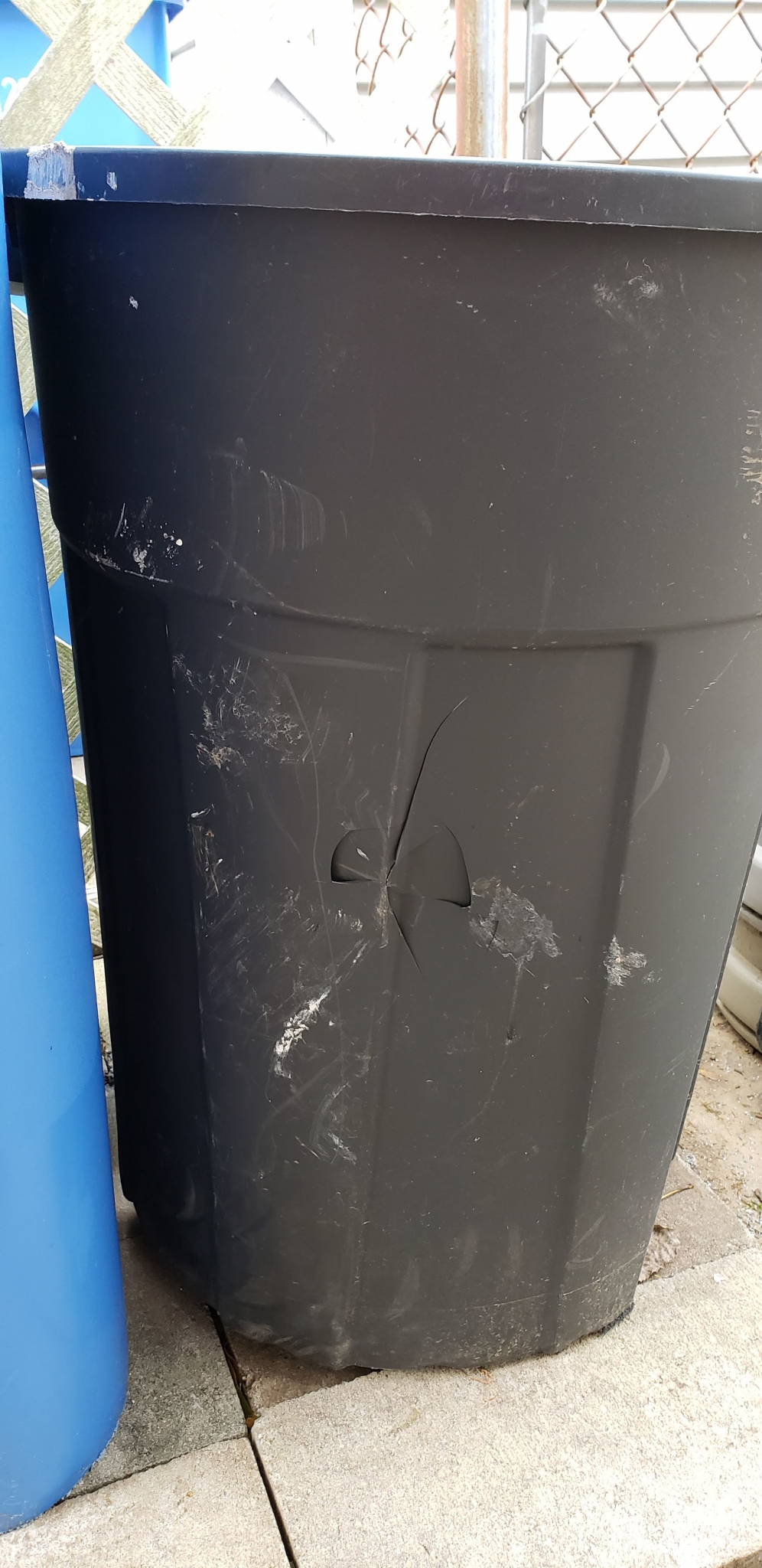 In Albany, filing claims for damaged cars, homes and trash cans