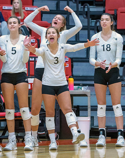 COLLEGE VOLLEYBALL: SIUE schedule includes return of Cougar Classic