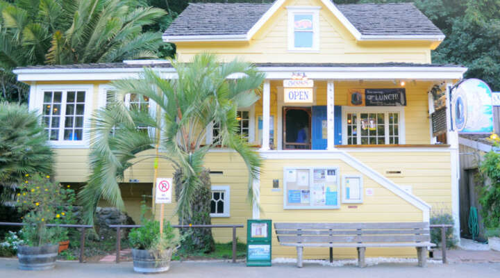 Bohemia lives on in these artsy, budget-friendly California destinations