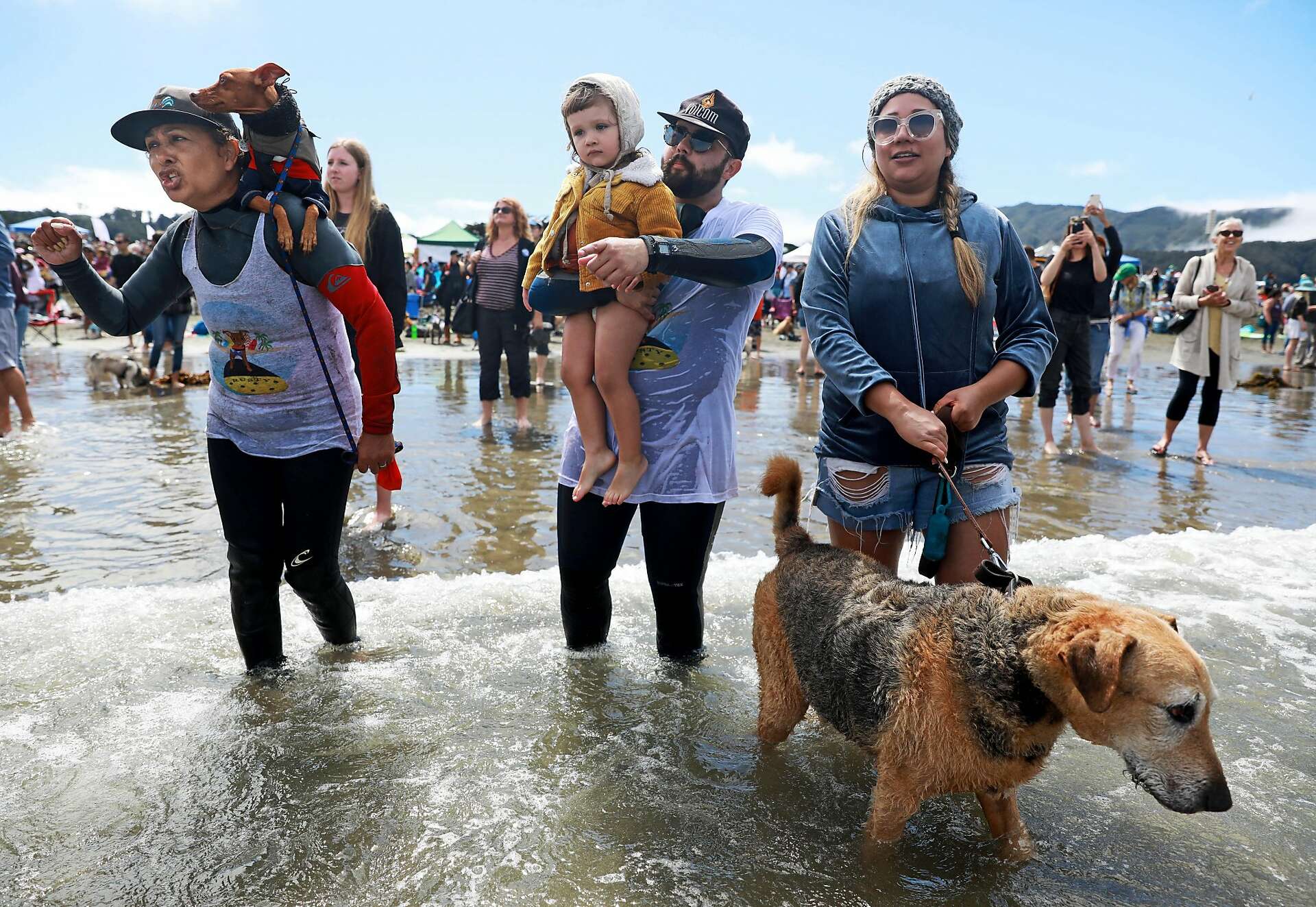 Peaceful alternatives to the Bay Area's notoriously crowded beaches