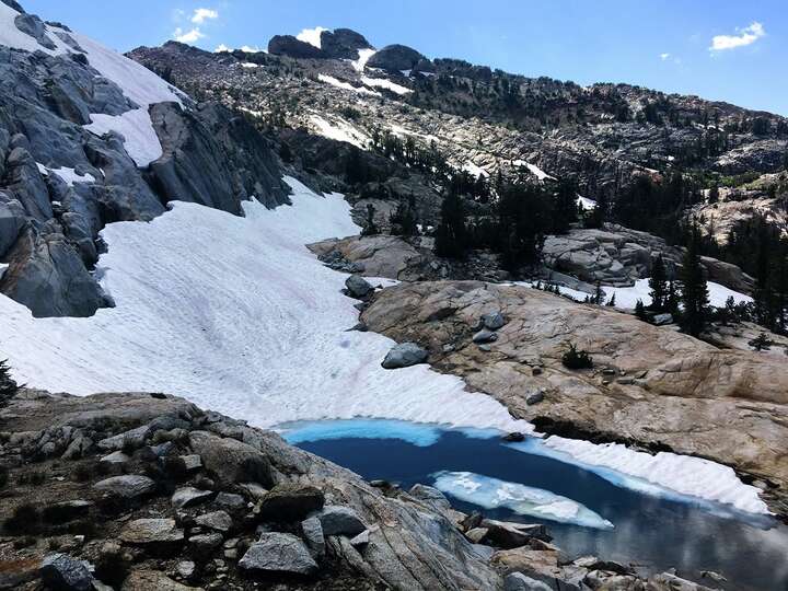 Pink 'watermelon snow' found in Yosemite's high country