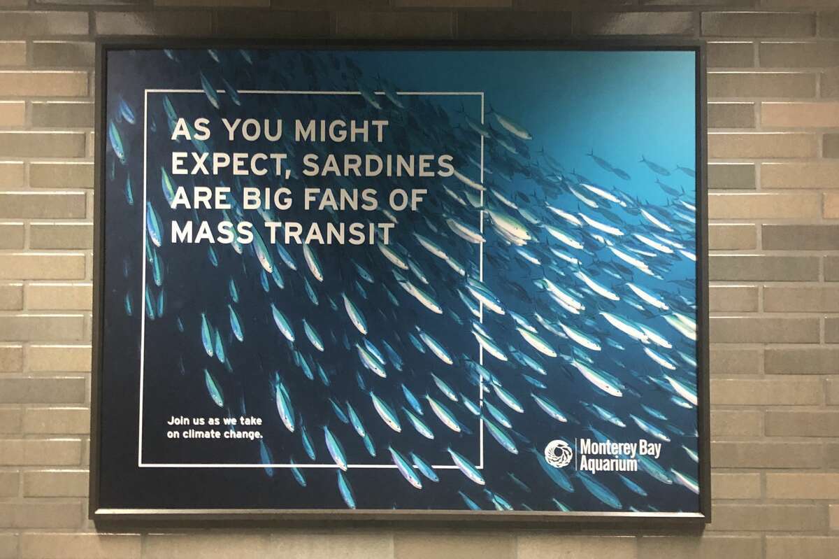 Here's the story behind those snarky BART ads demanding that you save ...