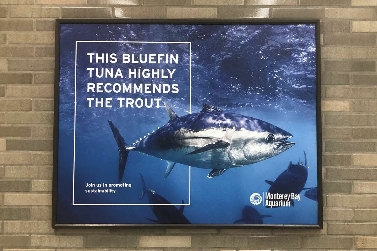 Here's the story behind those snarky BART ads demanding that you save ...