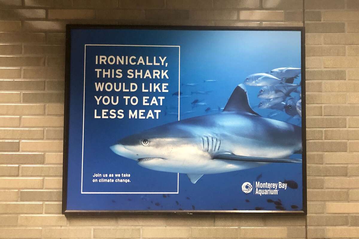 Here's the story behind those snarky BART ads demanding that you save ...