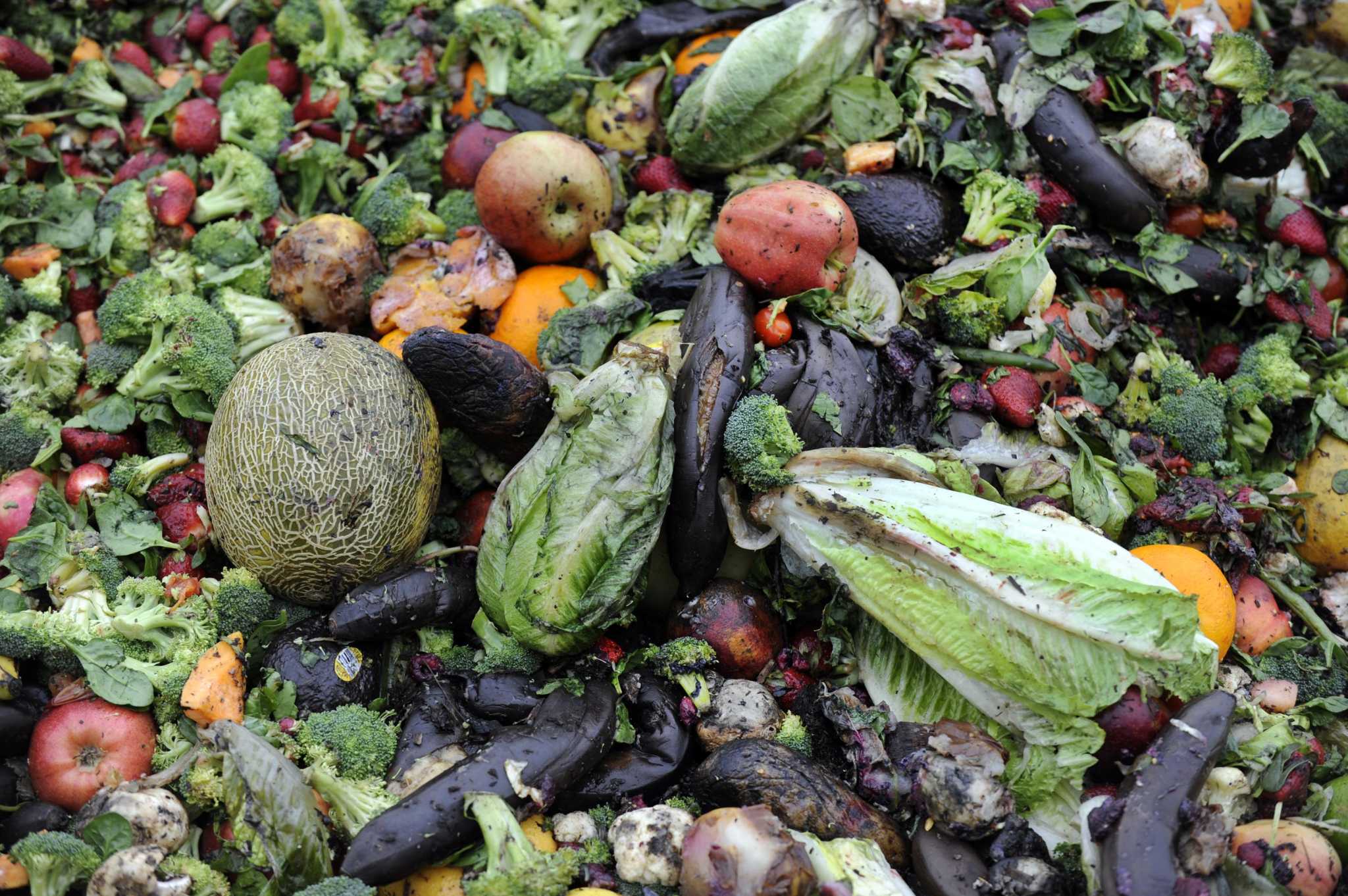 Middletown’s free food waste disposal turns kitchen scraps into biofuel