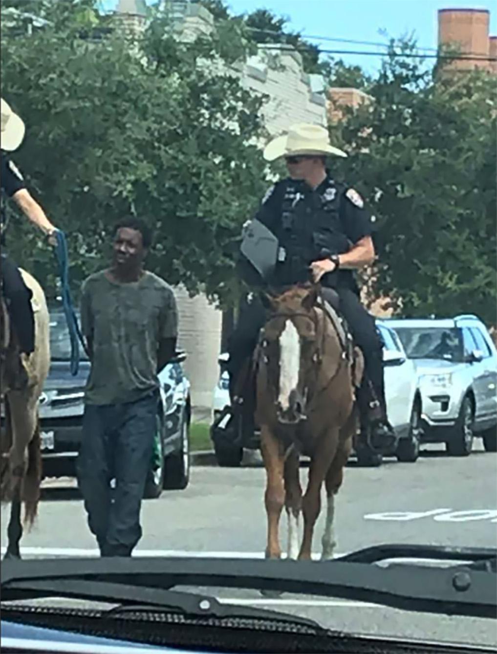 2 agencies investigate Donald Neely arrest by Galveston mounted officers