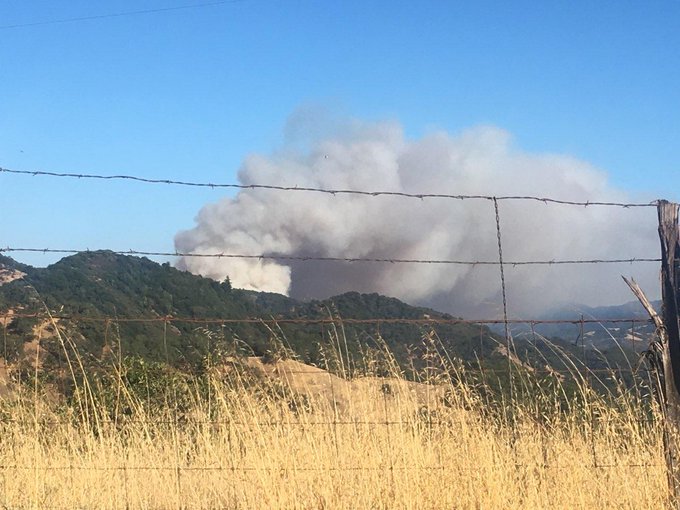Wind carries smoke from Moose Fire in Mendocino to Bay Area