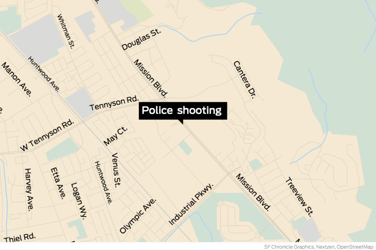 Hayward police shoot man waving replica firearm
