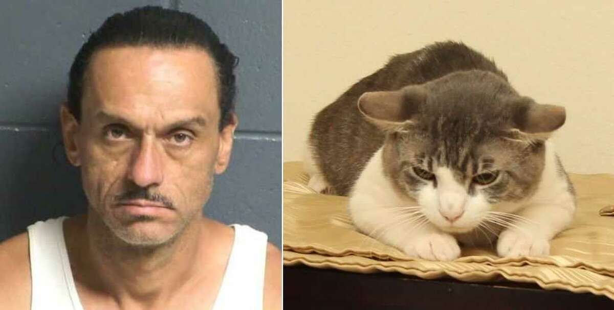 Man accused of forcing cat to eat meth