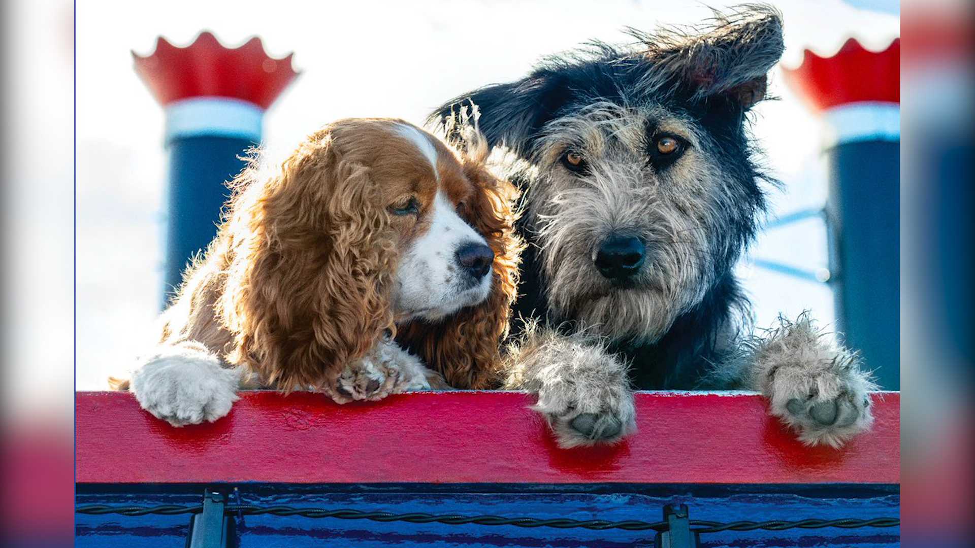 Disney unveils first look at live-action Lady and the Tramp reboot