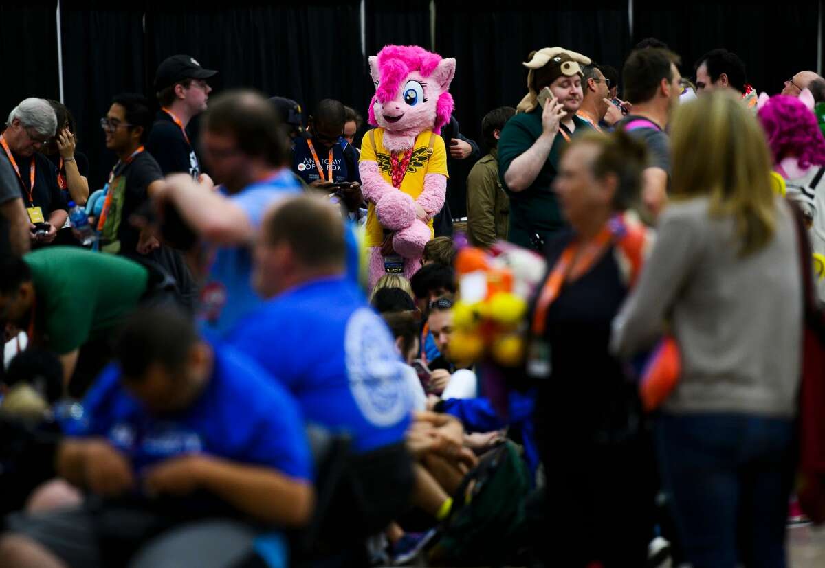 Local bronies mourn the loss of BronyCon, the nation's largest 'My ...