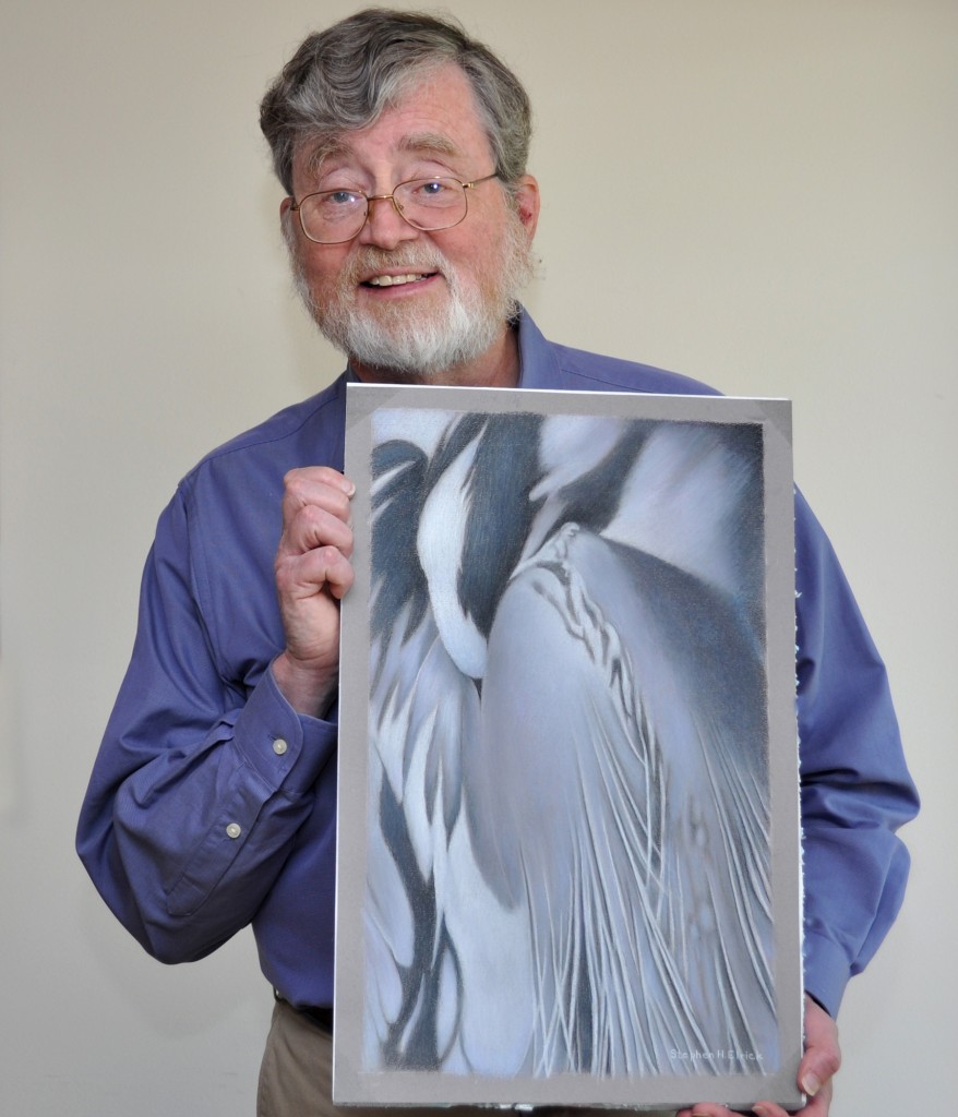 Steve Elrick's painting wins Birds in Art competition