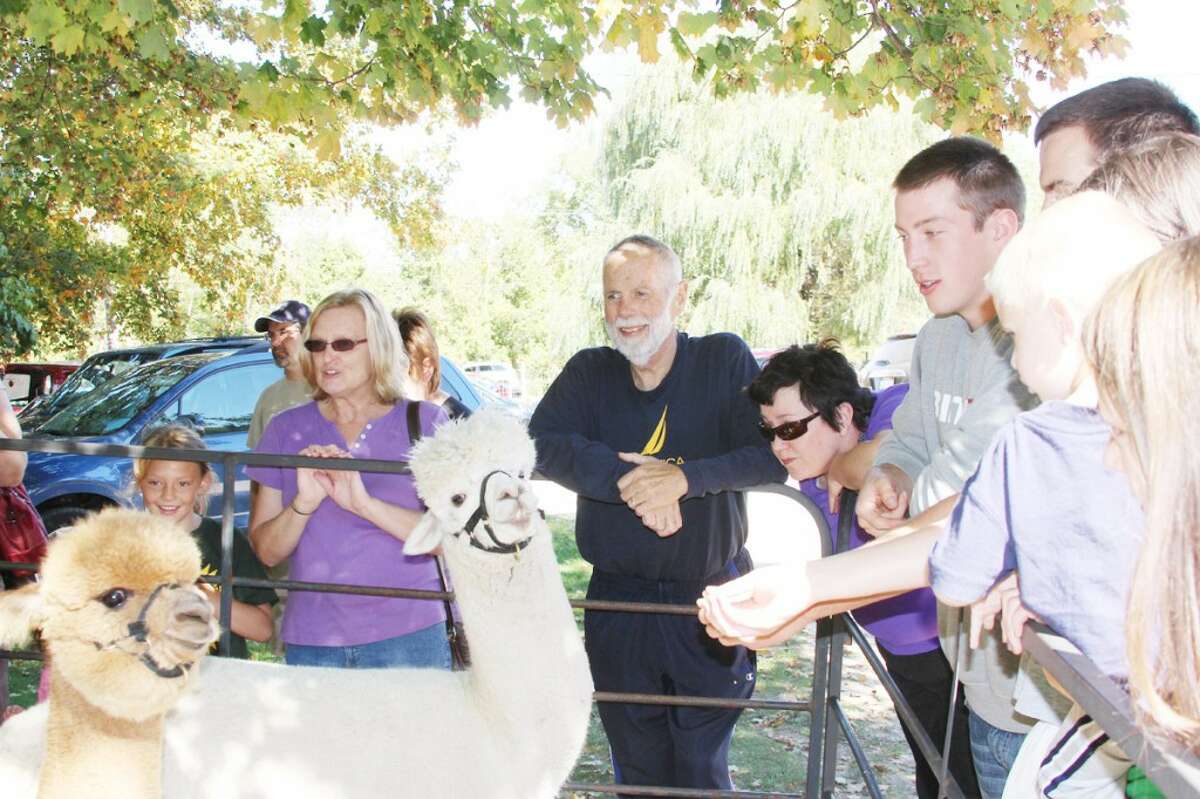 National Alpaca Day draws visitors to local farm