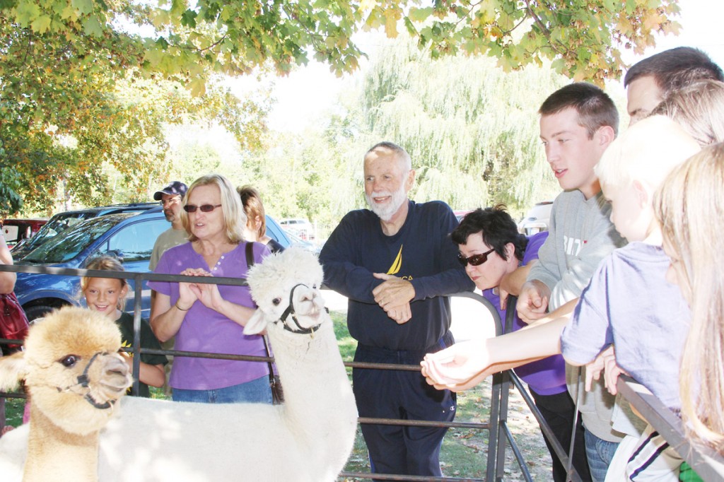 National Alpaca Day draws visitors to local farm