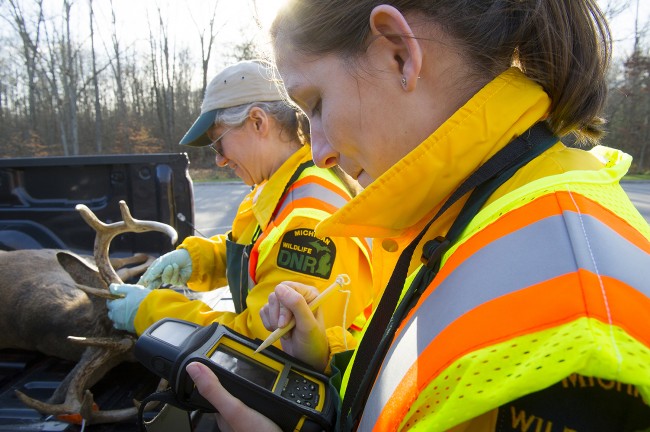 DNR check station staff hunting valuable deer data
