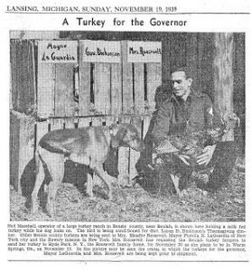 Looking Back in Benzie