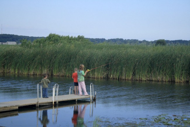 Trust Fund to help renovate Penny Park