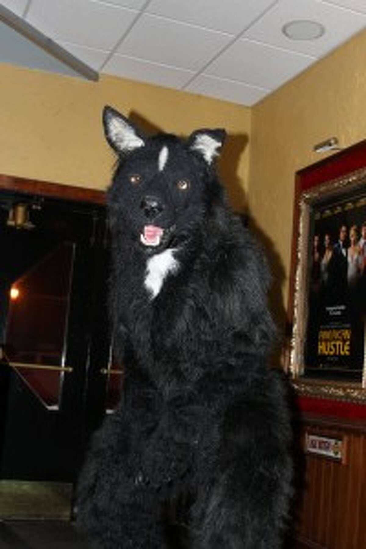 Return of the Dogman