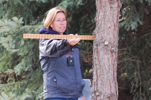 Forestry Field Day to Showcase Forest Management Practices