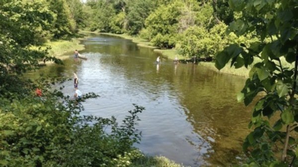 Help clean up the Cass River