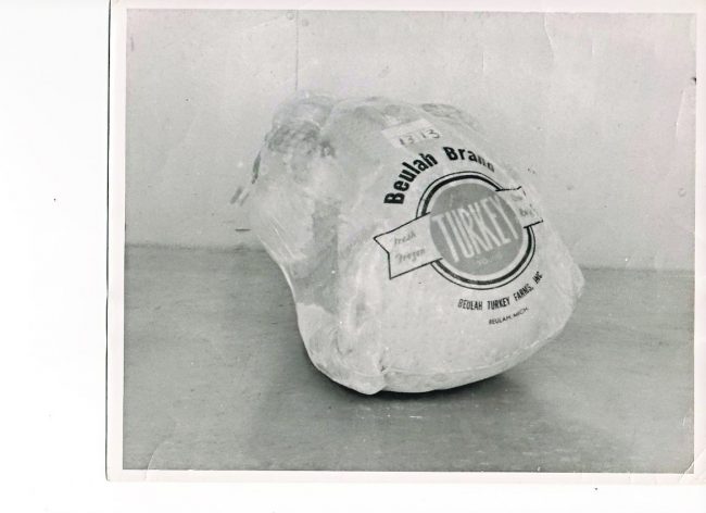 Looking back in Benzie