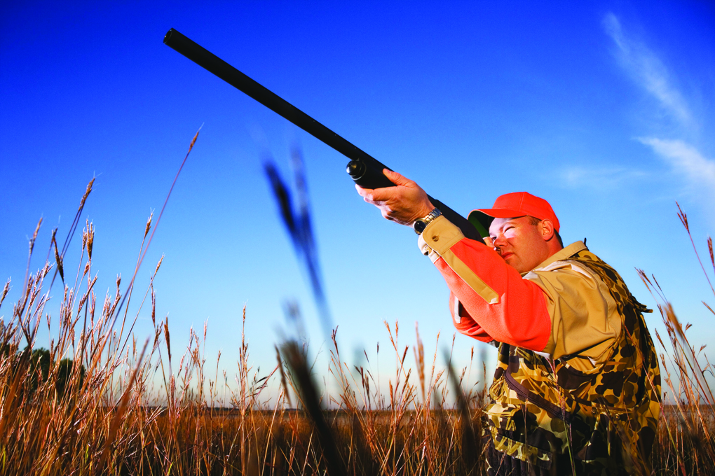 Poachers could face higher fines