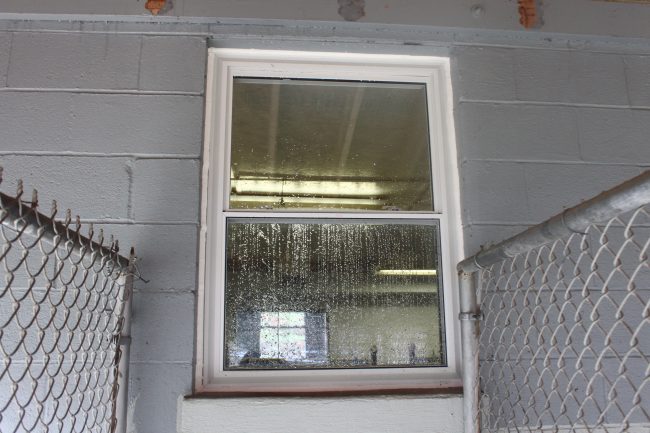 New windows installed at Animal Control