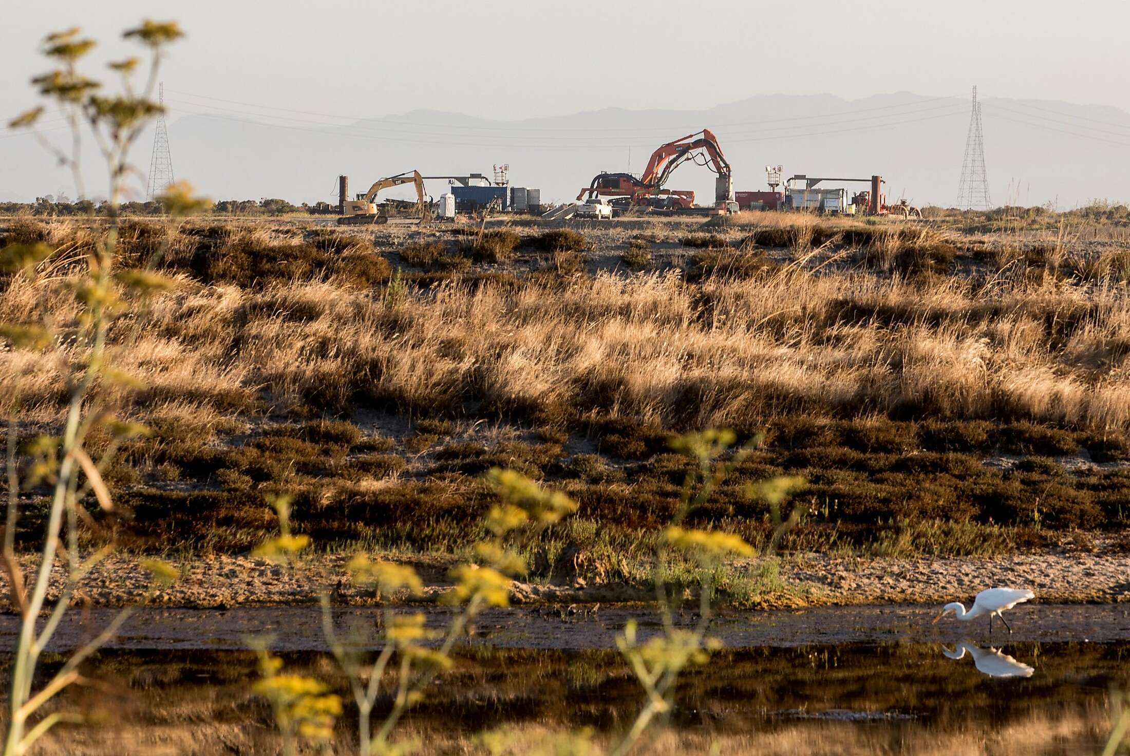 New maps show how little is left of West Coast estuaries