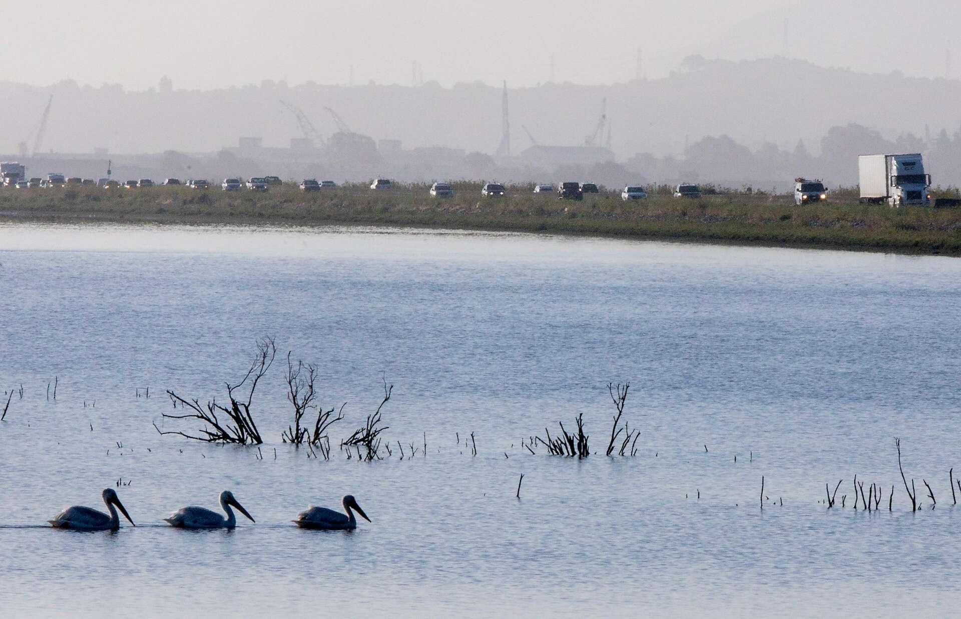New maps show how little is left of West Coast estuaries