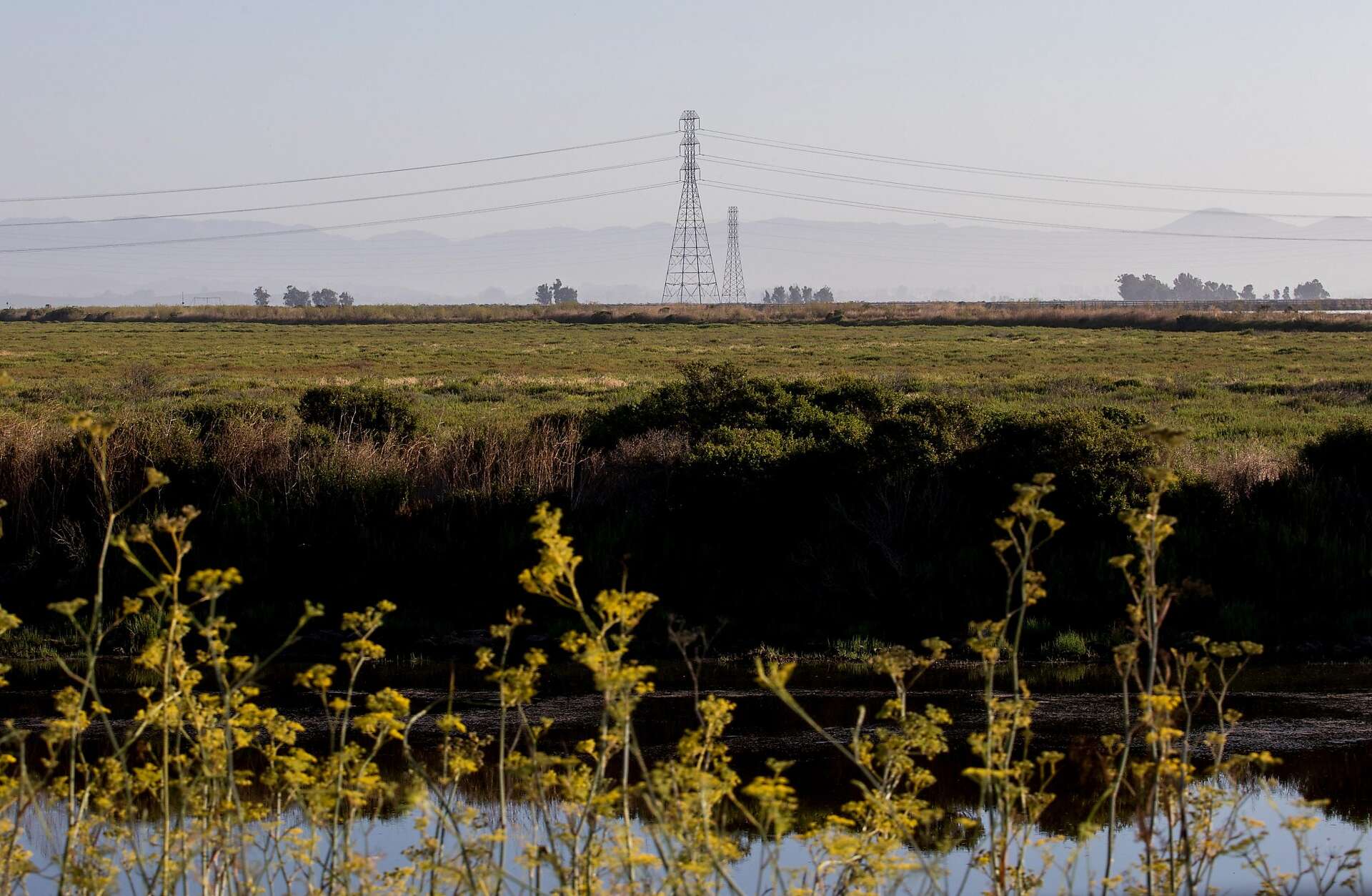 New maps show how little is left of West Coast estuaries