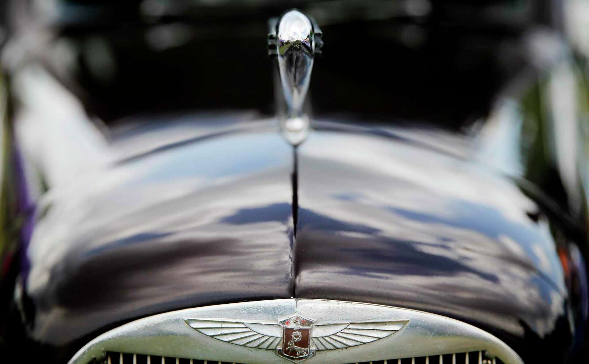 Sunshine, barbecue and lowriders — Houston car aficionados meet up at ...