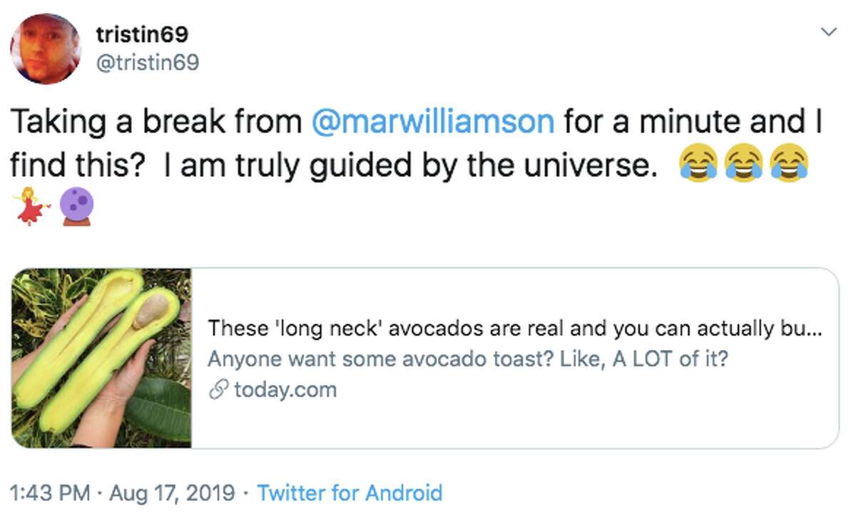 These giant avocados grown in Florida cost up to $15 each