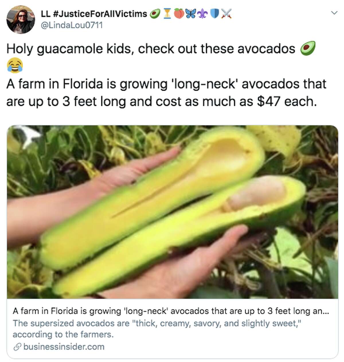 These giant avocados grown in Florida cost up to $15 each